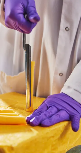 Cheese Products: Quality, Scalability & Flexibility | Hilmar