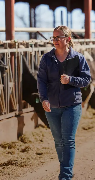 Hilmar Cheese & Ingredients